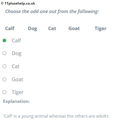 11 Plus Odd Word Out - 11Plus e Help | 11PluseHelp.co.uk